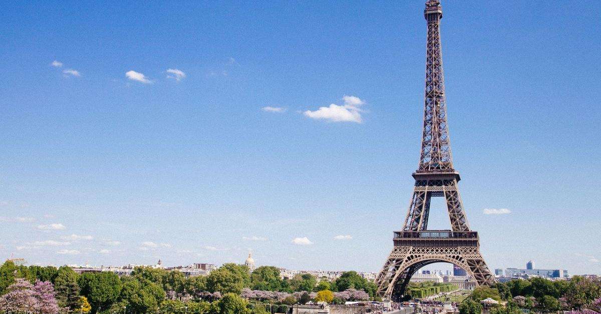 Urban Forest In Paris Are Set To Change The Landscape